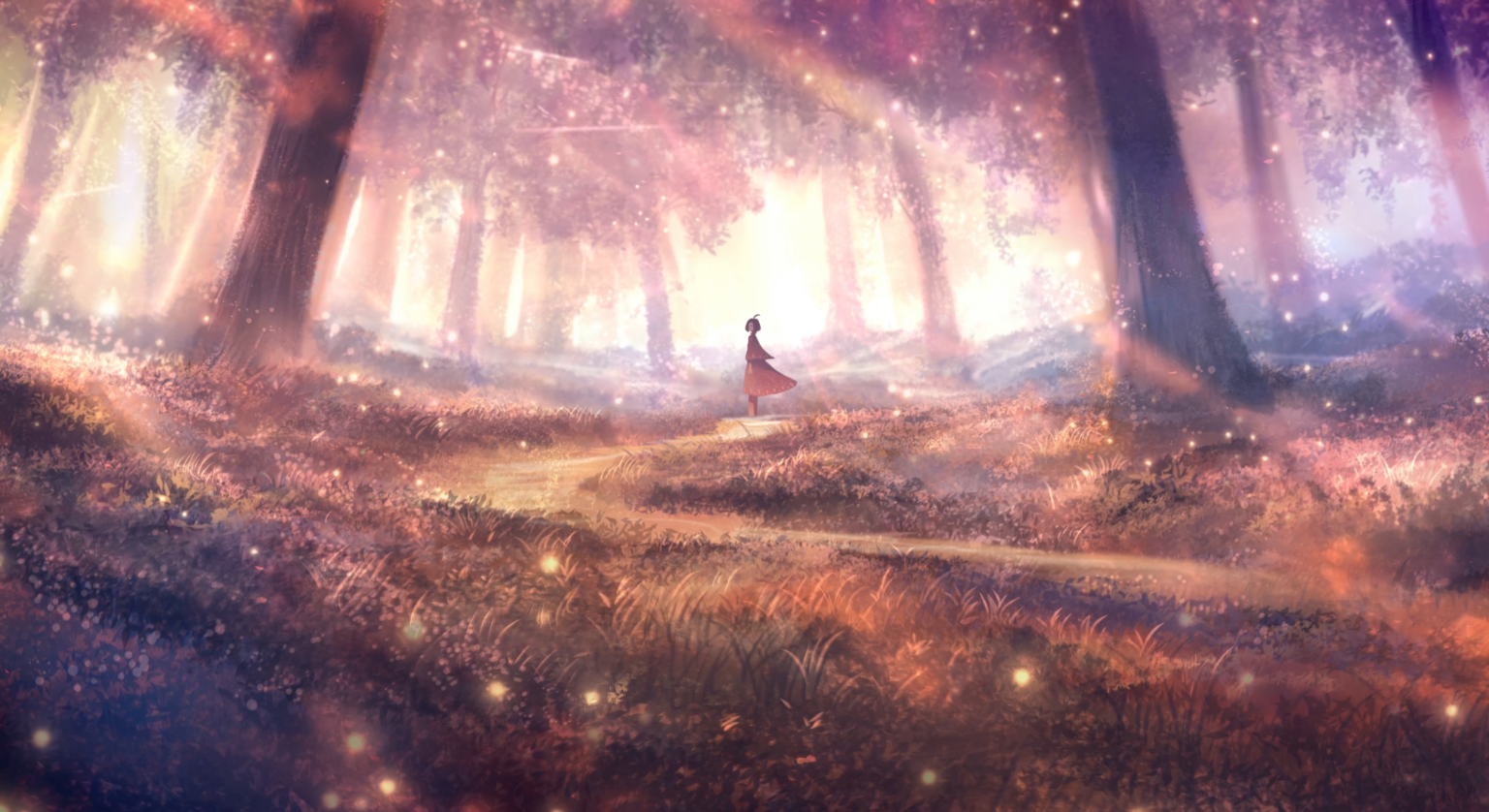 Mystical Fall Woods Beautiful 4k Live Wallpaper