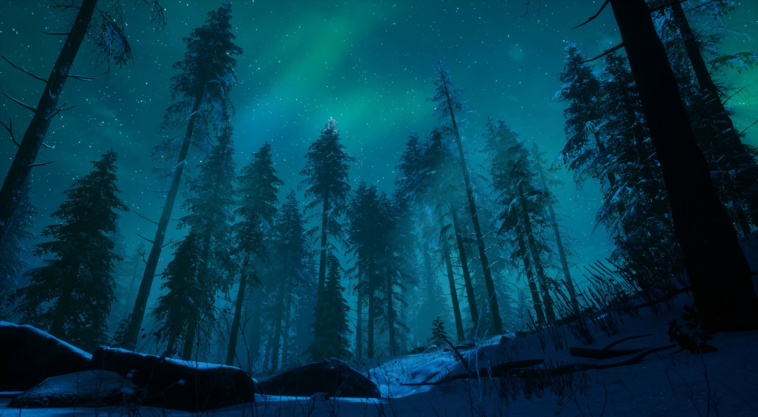 Northern Lights Forest Beautiful Live Wallpaper 4K